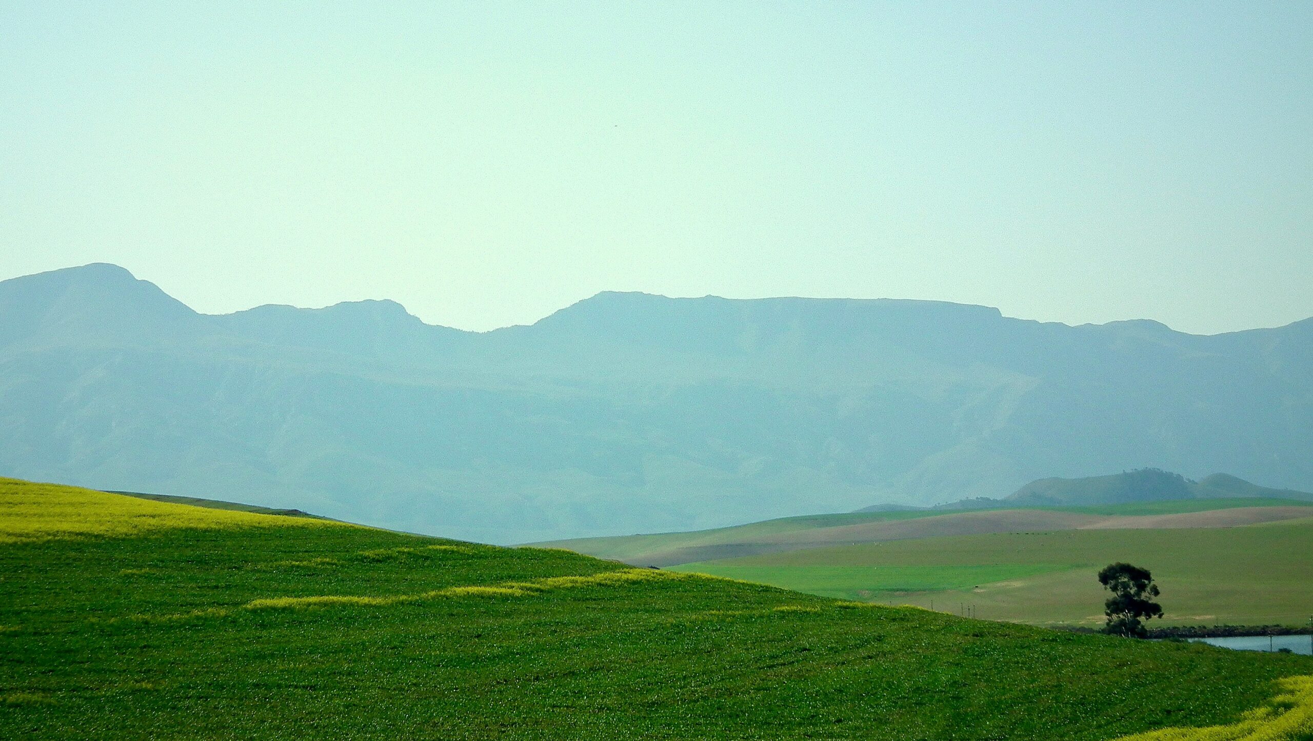 Luke, Part 38 – Sinner Woman Forgiven – Generations