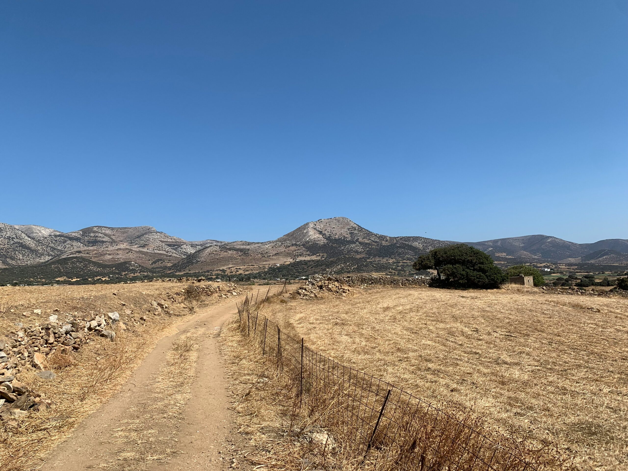 Matthew, Part 20 – Jesus Heals – Generations